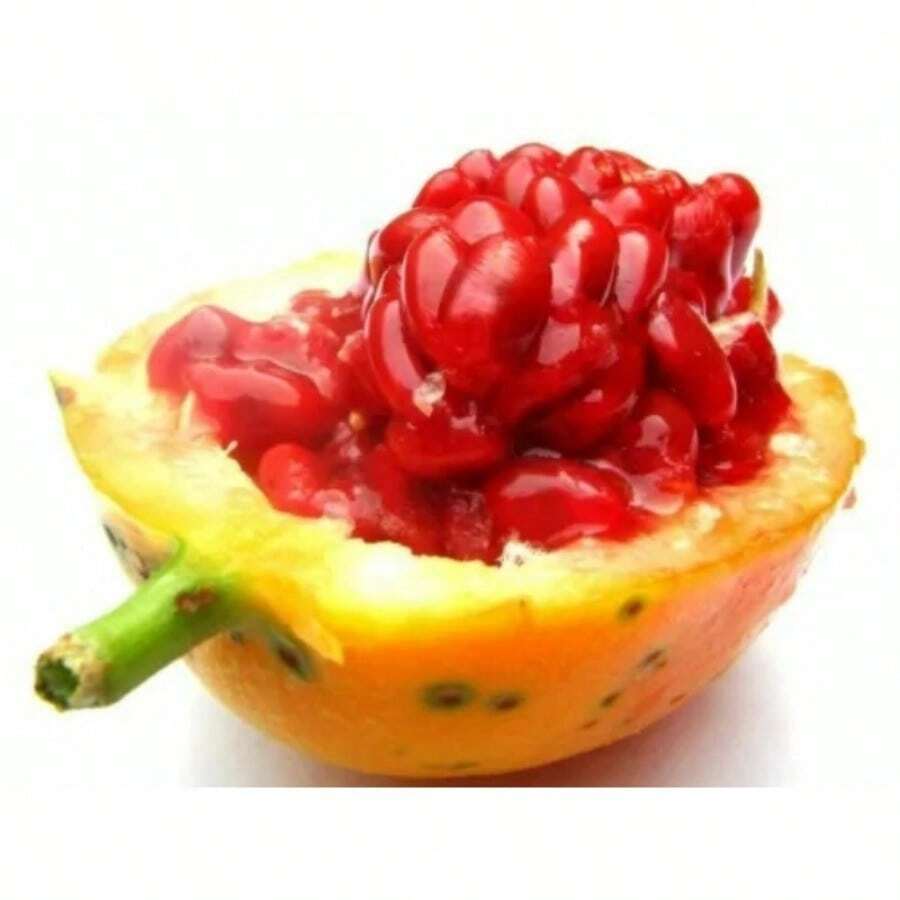 300pcs Red Sugar Passion Fruit Seeds Passiflora Caerulea Seeds Passion Fruit Shein Uk