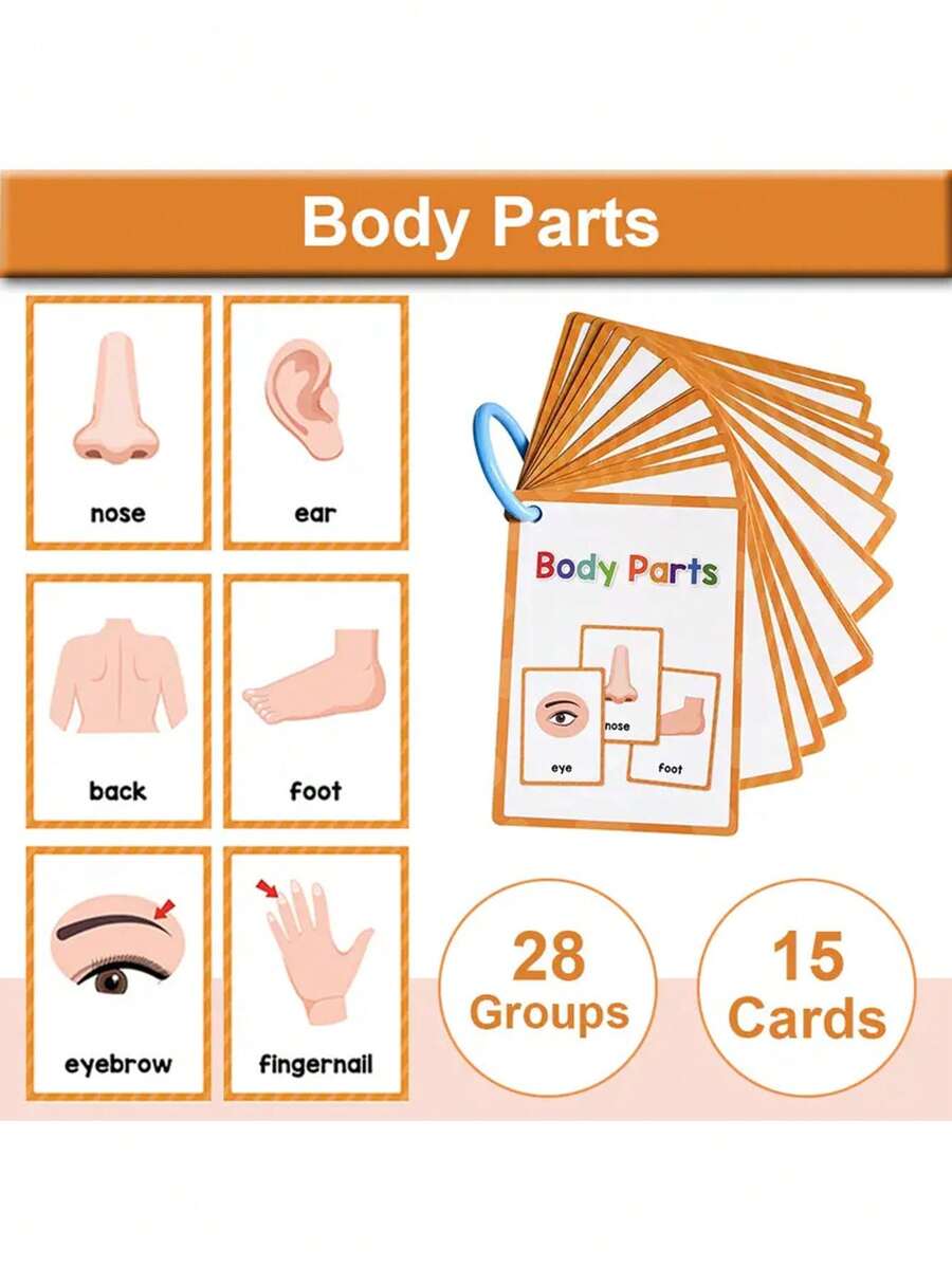 Cartes-éclair de reconnaissance des parties du corps, apprendre le ...
