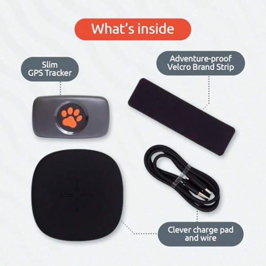Dog GPS Tracker - No Subscription Required - Suitable For All Dogs And ...