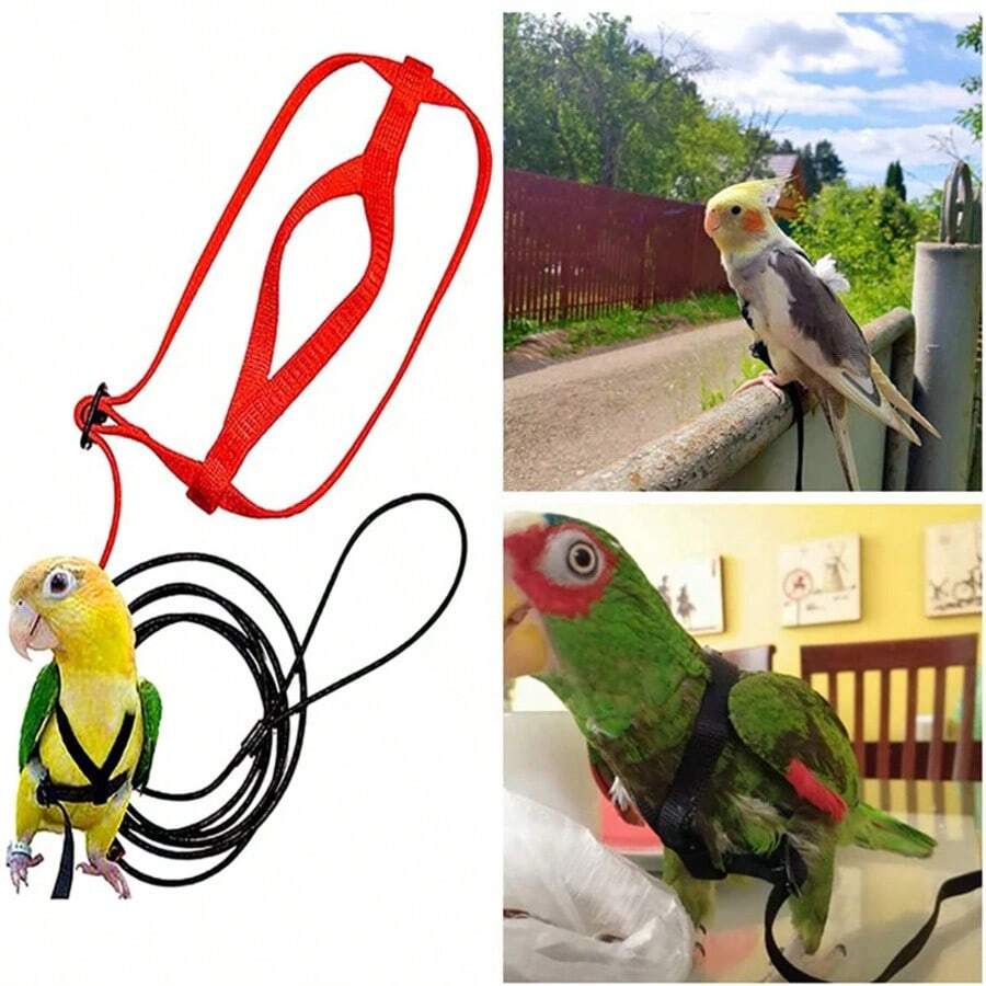 Training Flying Traction Rope Anti-Bite Training Rope Bird Parrot ...