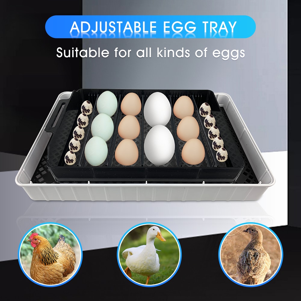 Smart Chicken Incubators For Hatching Eggs With Automatic Turner Small Poultry Duck Quail 12 Egg ...