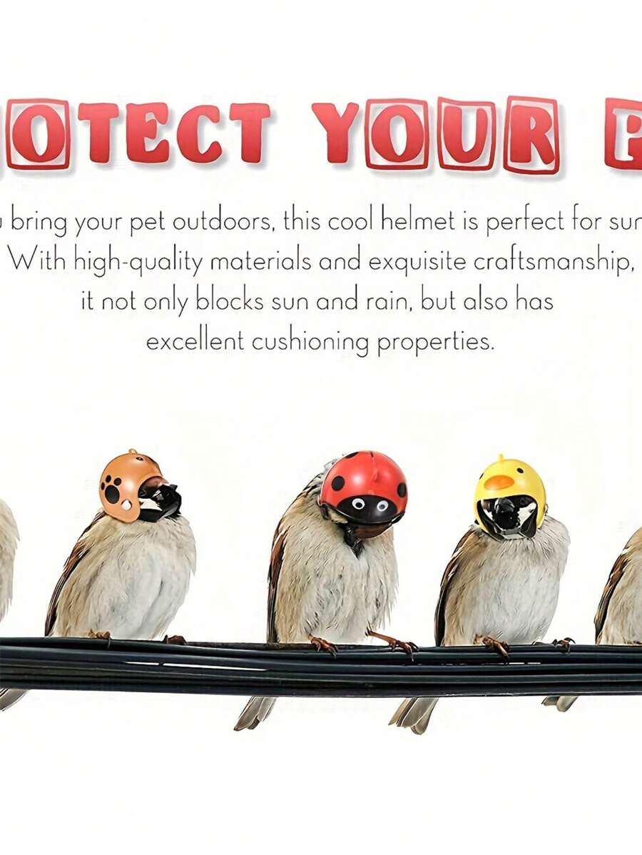 Rainproof Chicken Helmet Hat, The Perfect Pet Protection Gear For Your ...