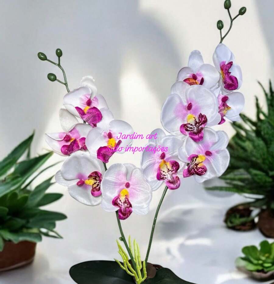 Double Artificial Orchid Kit - 2 Realistic Arrangements With Exclusive ...