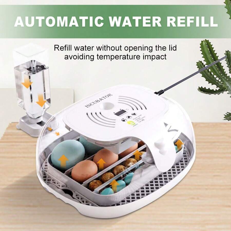 Incubadora de 16 huevos para empollar huevos, con pantalla de humedad y día de eclosión, volteo ...