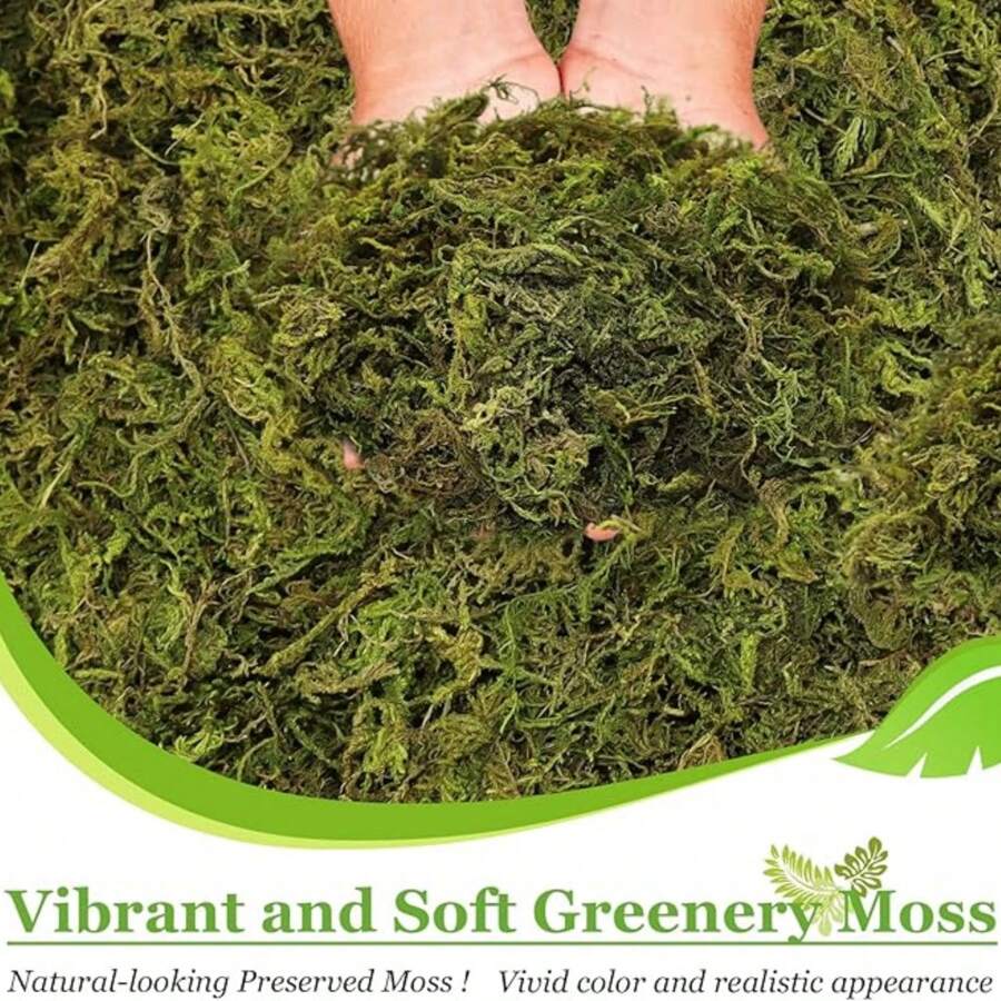 Simulation Moss For Indoor Simulation Plants - Quality Artificial Craft ...