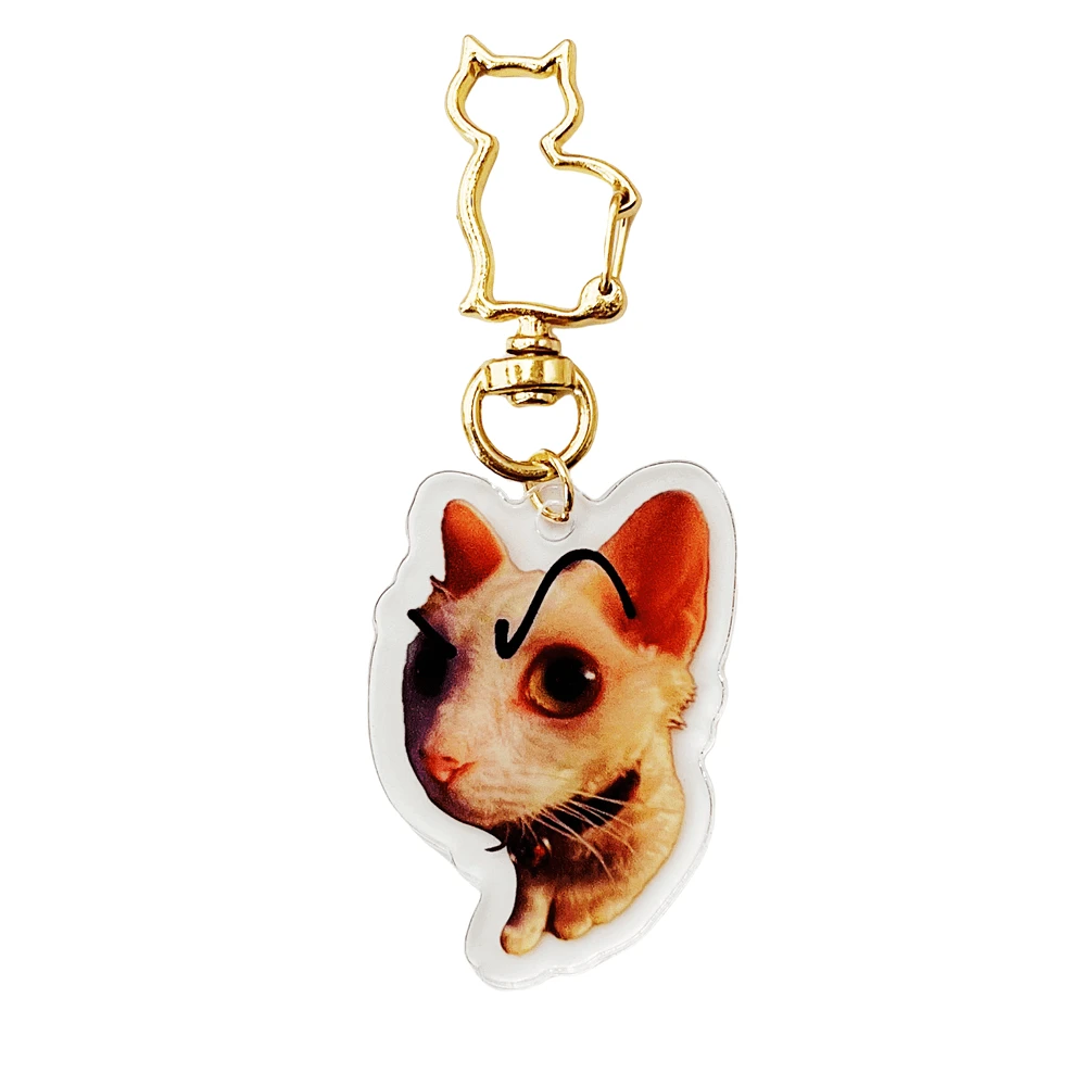 Smart Cat Meme Acrylic Keychain Fashion Jewelry Accessories Christmas ...