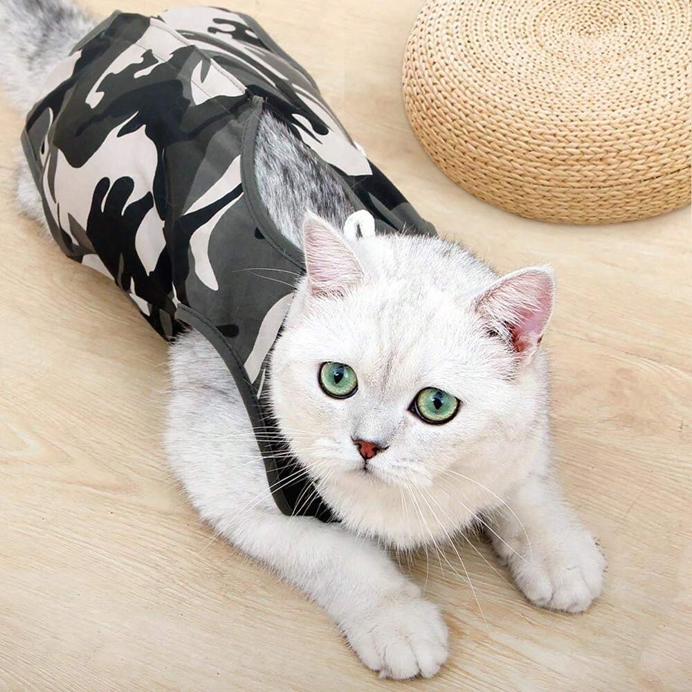 Male And Female Cat Post-Surgical Recovery Outfit Soft Tapered Liner ...