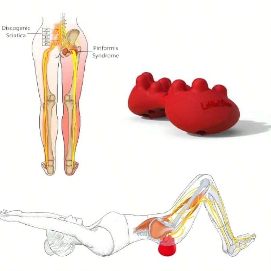 Back Trigger Points Massager Gluteus Myofascial Release Sciatica ...