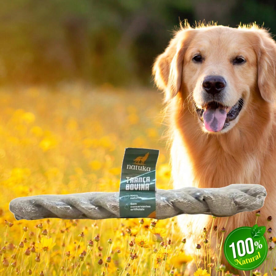 Leather Teether With Bovine Braid Snack For Dogs And Cats Large ...