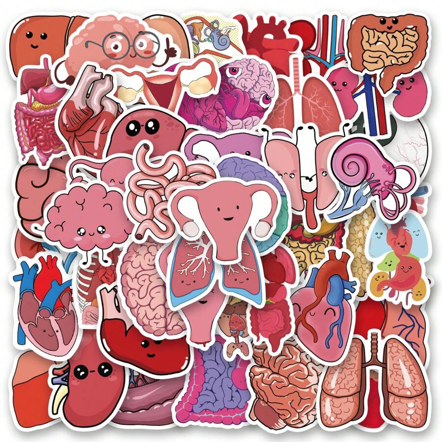 50 PCS Medical Human Organs Stickers Vinyl Stickers Scrapbook ...