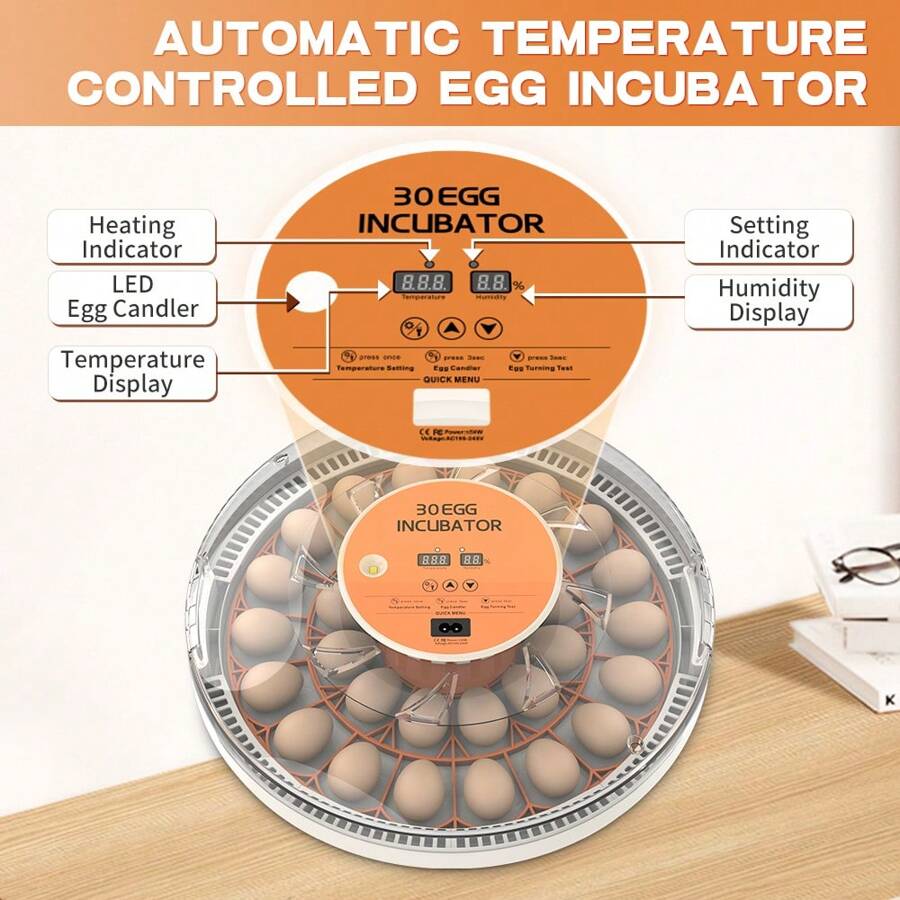 30 Egg Incubator With Automatic Turner, Digital Temperature And ...