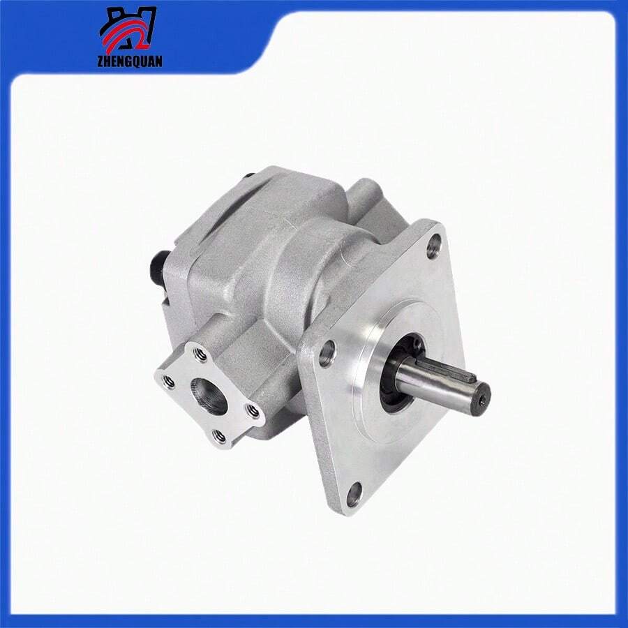 Zhengquan Gpy F9l Counterclockwise Left Rotation Small Hydraulic Pump