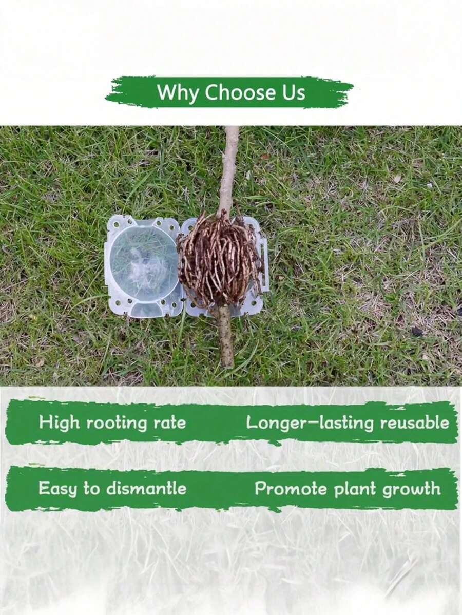 10-Piece Plant Root Growth Box, Propagation Ball, Reusable, Clear ...