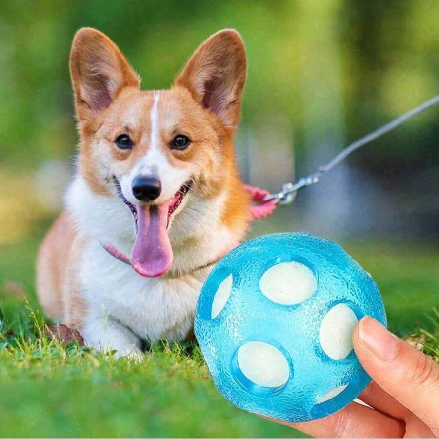 1pc Sponge Gnawing Ball Floating Ocean Ball, Dog Chasing And Playing In ...