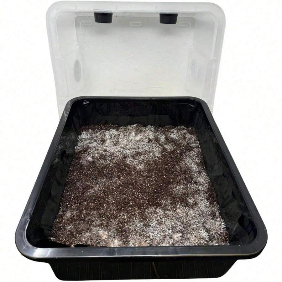 Mushroom Monotub Grow Kit | Complete Mushroom Grow Kit | For Dung ...