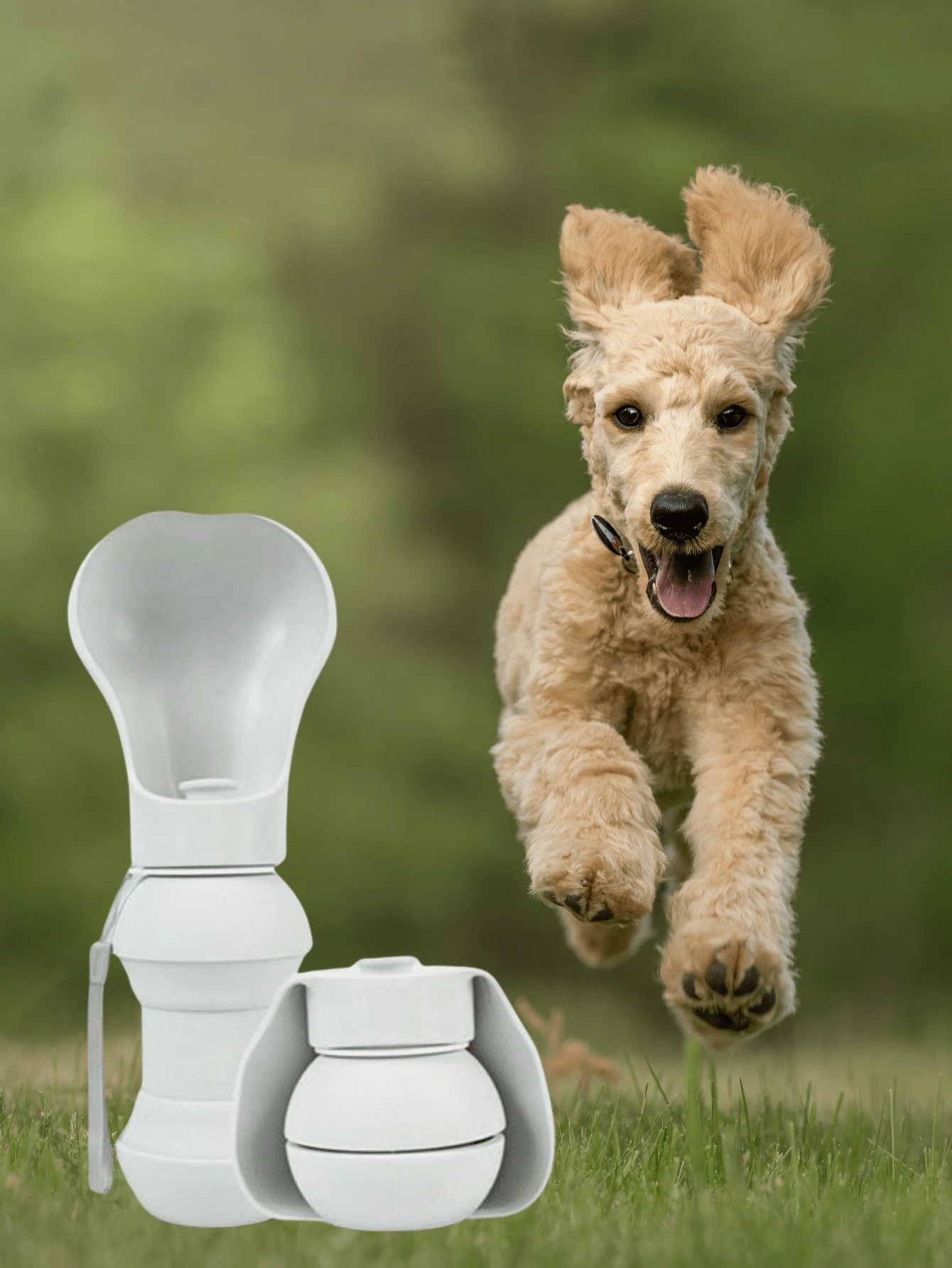 Bebedouro Portátil Para Pets Silicone | SHEIN Brasil