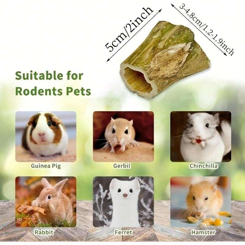 5-Pcs Natural Papaya Wood Chew Toys For Rabbits, Hamsters, Guinea Pigs ...