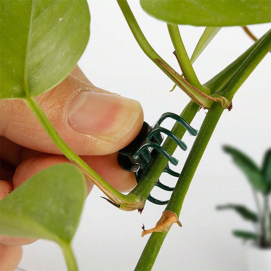 Plant Clips 20-100 Pcs Orchid Support Clips Easy To Use Grow Upright ...