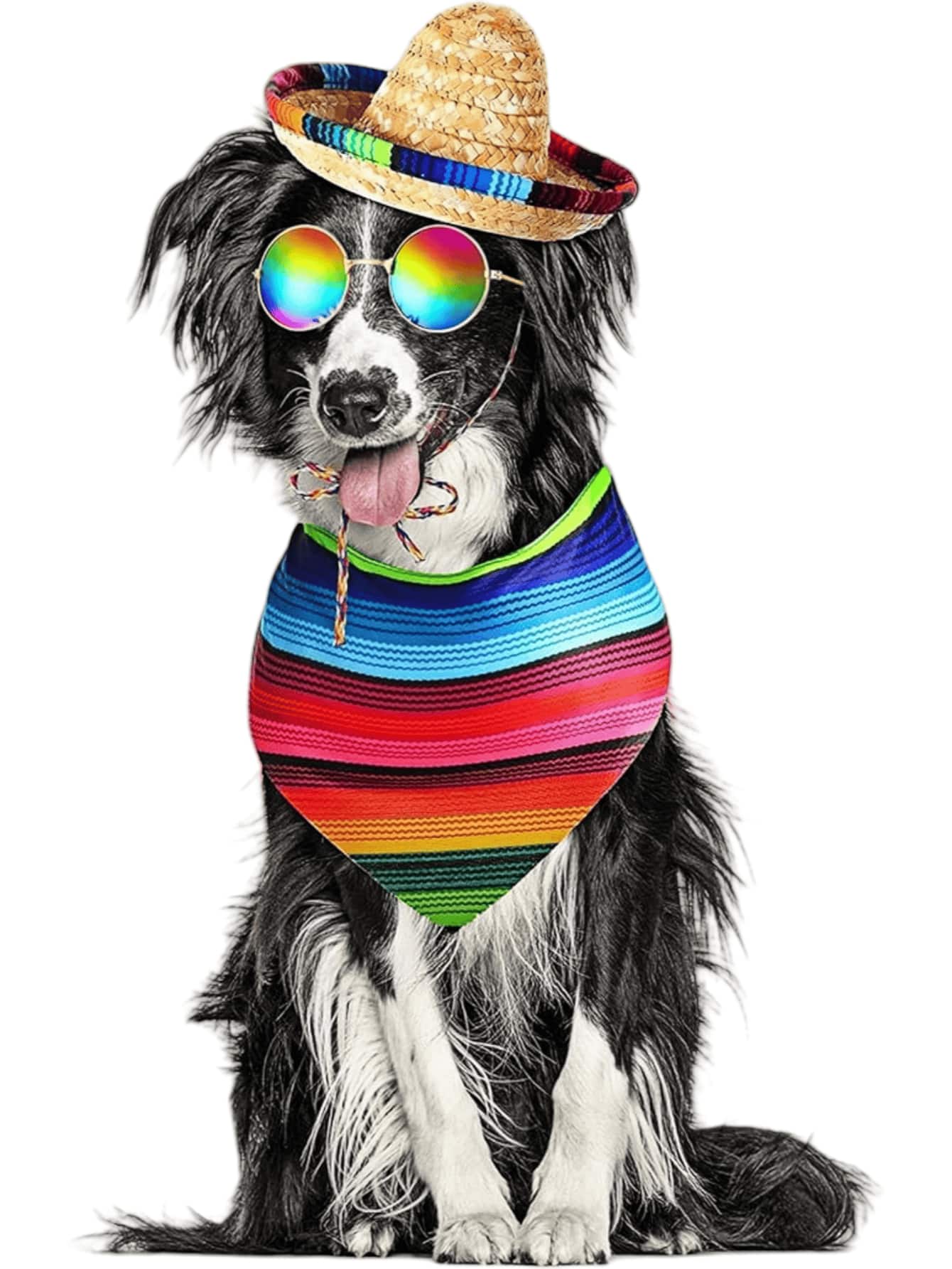 3pcs Mexican Sombrero Wide Brim Hat, Serape Cloak, May 5th Dog Bandana ...