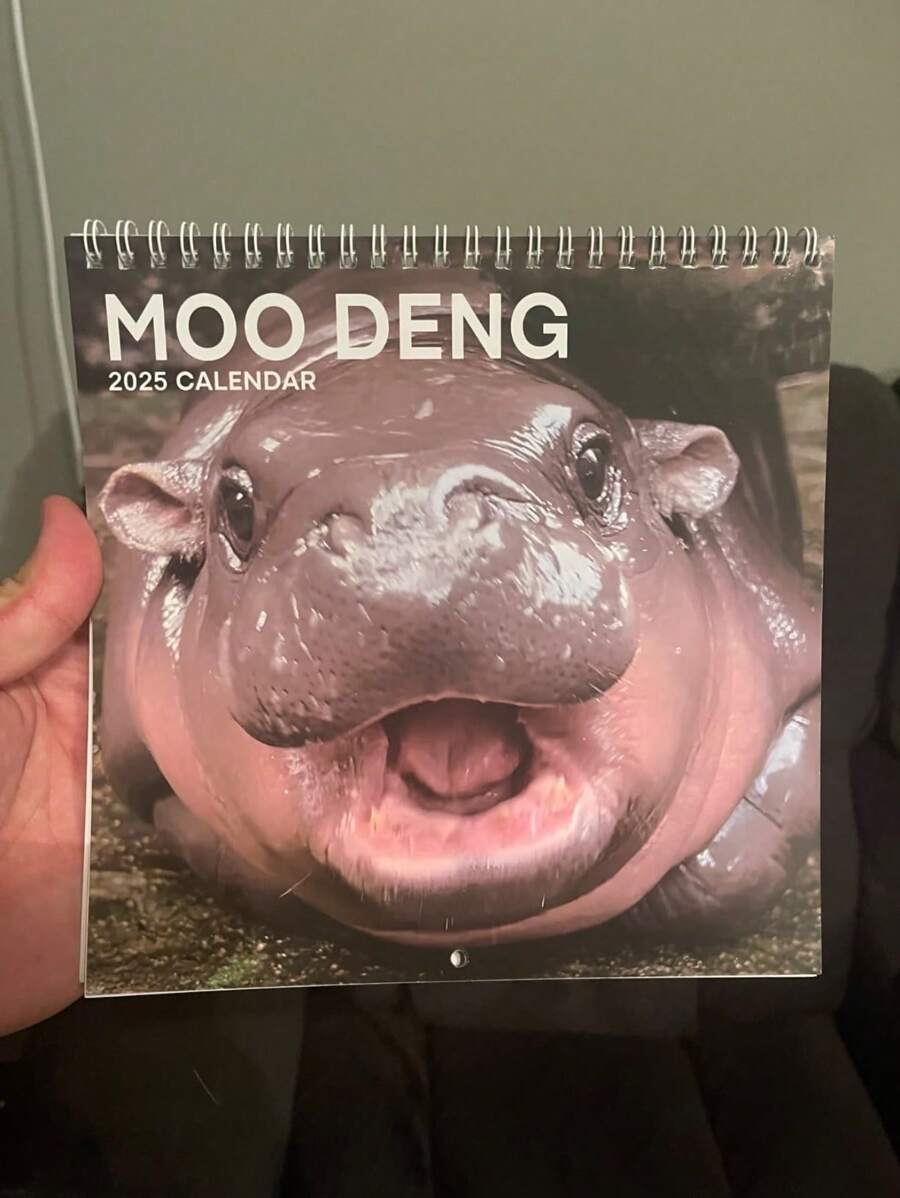 1 Stück 2025 Moo Deng Kalender, Moo Deng Kalender, Moo Deng ...