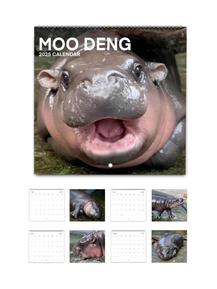 1pc 2025 Moo Deng Calendar, Moo Deng Calendar, Moo Deng Pygmy ...