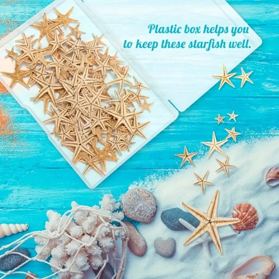 1 Box Of 50pcs Micro Landscape Decoration Natural Mini Starfish Ocean ...
