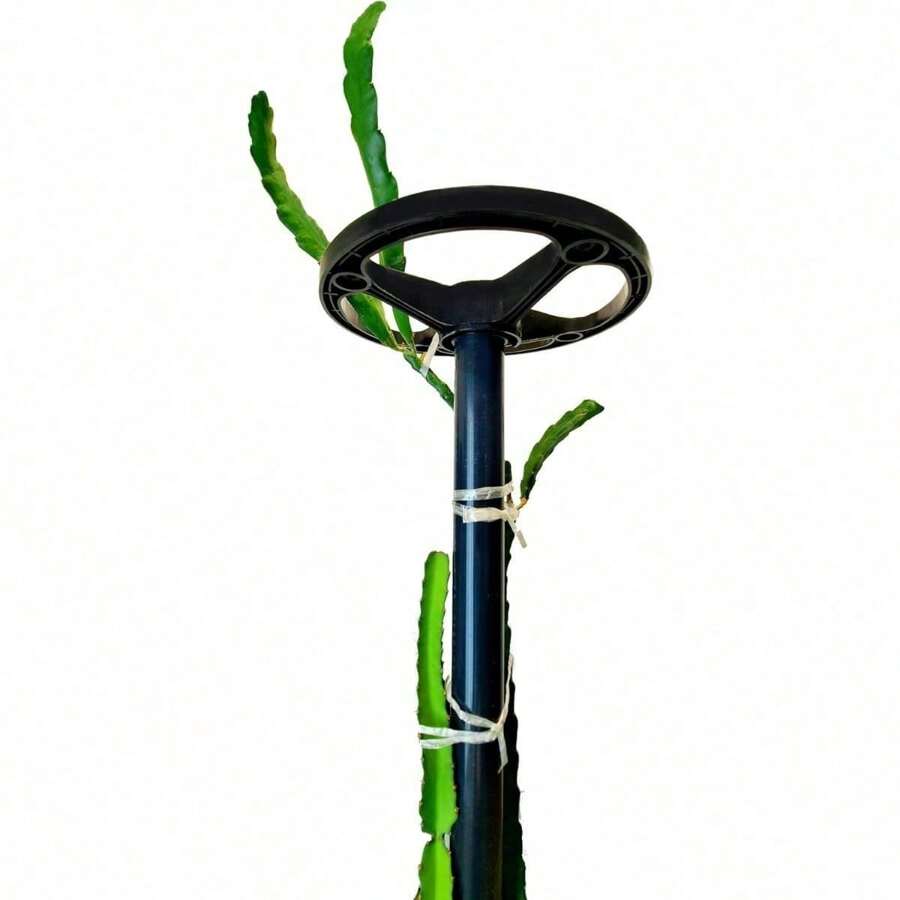 Dragon Fruit Trellis Tower Plant Cage Cactus Climbing Support (60-Inch ...