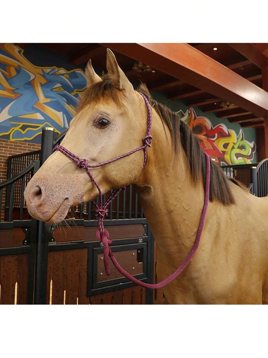 Horse Halters Training Rope Halters For Horses Adjustable Sturdy Horse Halter And Rope Stiff ...