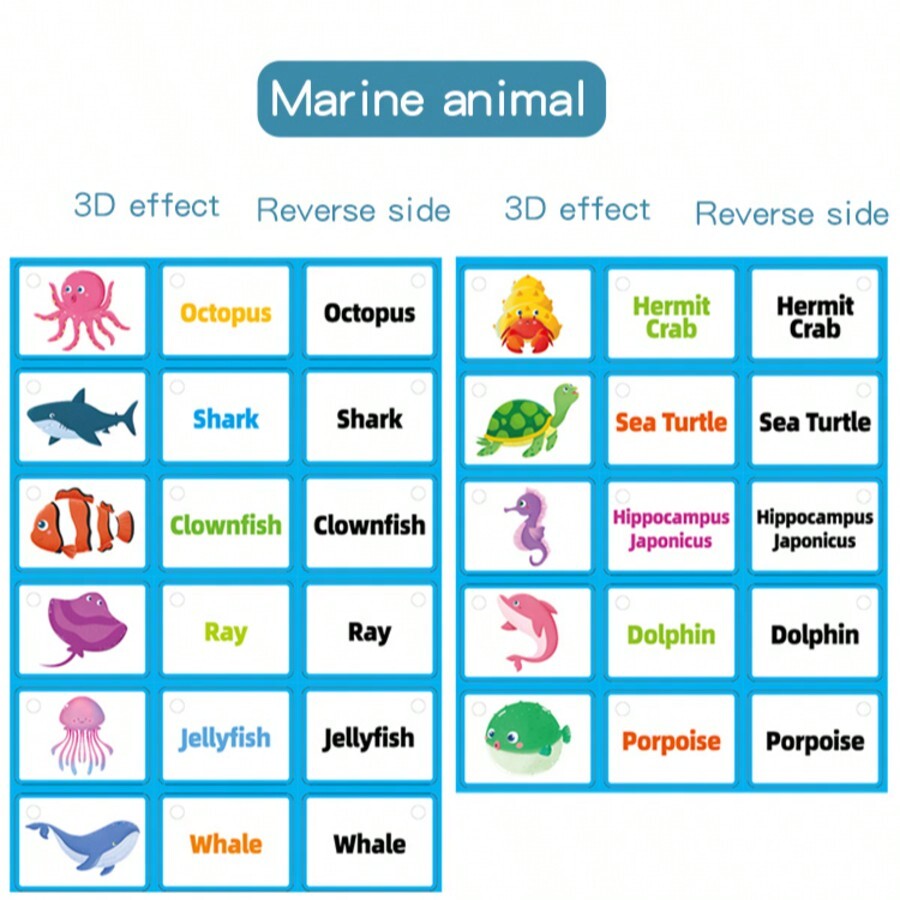 Cartes éclairs éducatives 3D pour l'éducation précoce des enfants ...