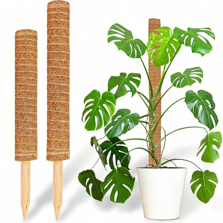 ガーデニング 鉢植え用 植物 つる 登り棒 ココナッツ ヤシの木スティック フラワーホルダー ココナッツヤシの木登り棒 | #SHEIN新生活応援セール