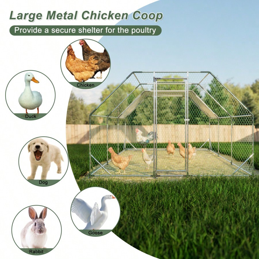 10 Ft. X 20 Ft. Galvanized Large Metal Walk In Chicken Coop Cage Farm ...
