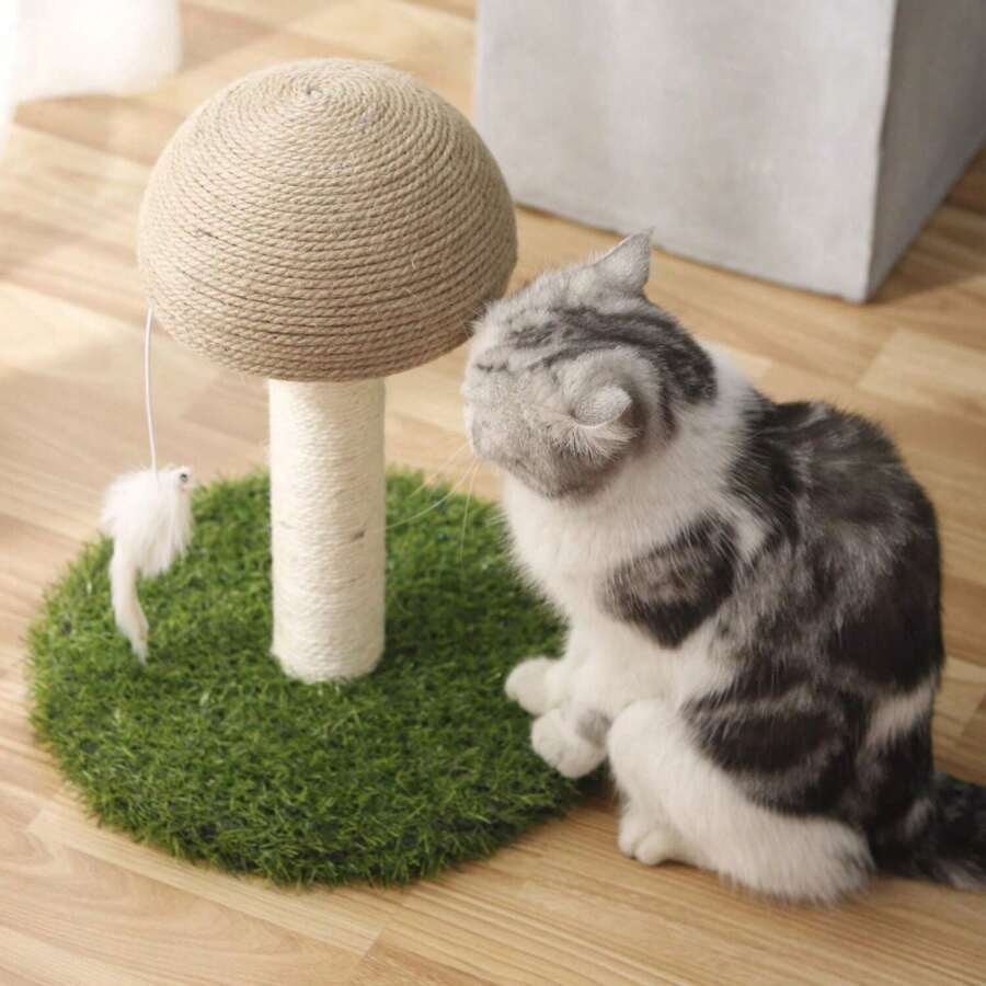 Cat Scratching Post, Mushroom Claw Scratching Post For Kitty, Natural ...