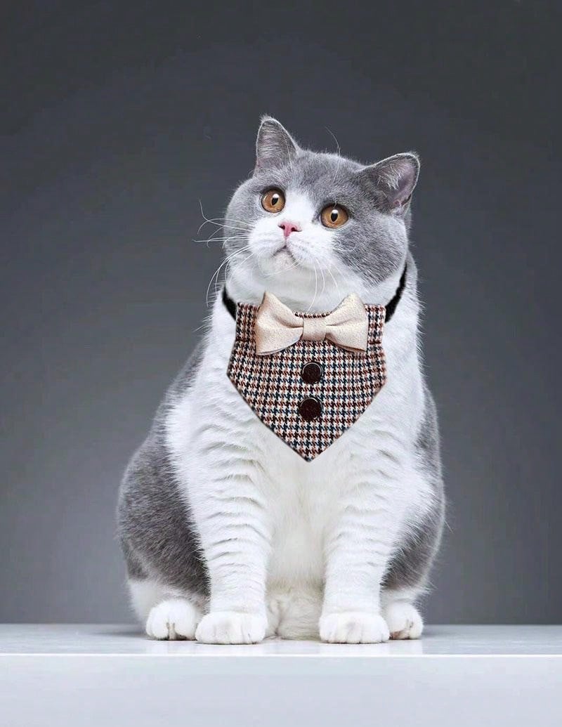 British Style Pet Cat Collar With Bowtie & Neckerchief, Adjustable ...