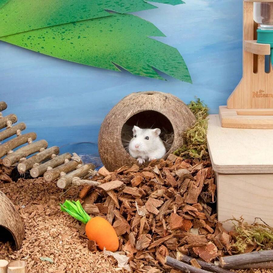 Coconut Hut Hamster House Bed For Gerbils Mice Small Animal Cage ...