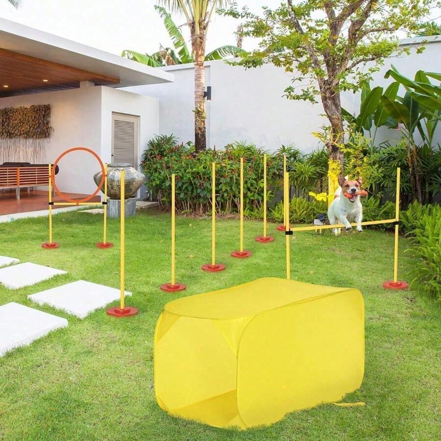 4-Piece Dog Agility Training Equipment Doggie Obstacle Course With ...