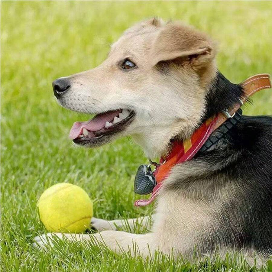 Tennis Ball Pet Dog Cat Training Chew Toy, Paw Print Interactive Intelligence Ball Puppy Chewing ...
