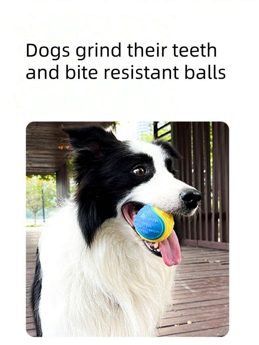 3pcs Pet Chew Toy, Dog Chew Balls, Durable Chew Balls For Dog Training, Tooth Grinding ...