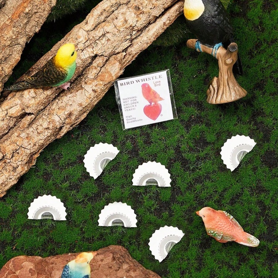 Effective Bird Training Whistle Pigeon Whistle - Stainless Steel Tool ...