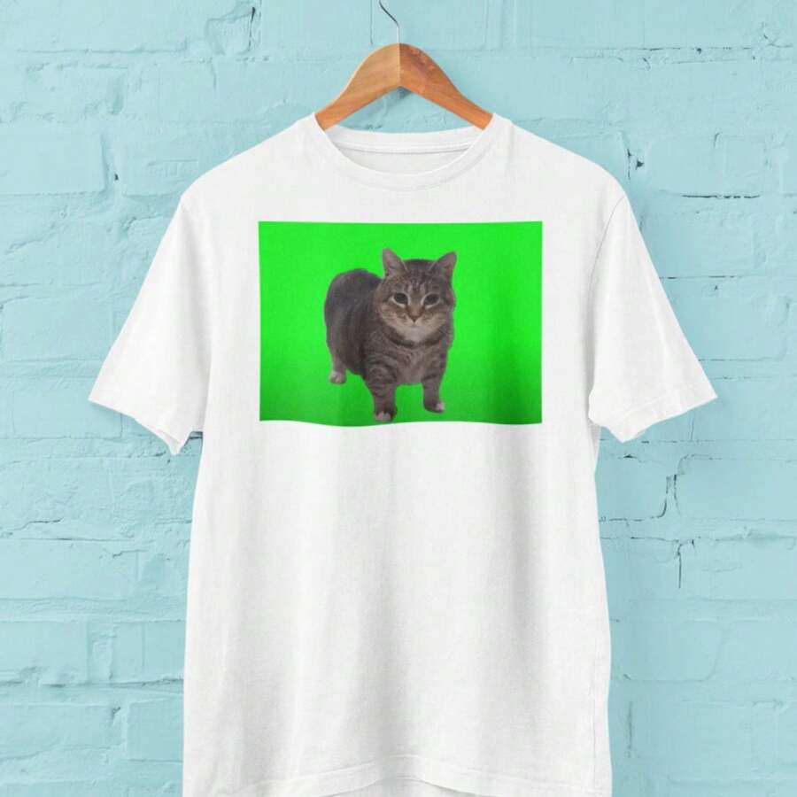 Spinning Cat Funny Meme Shirt, Oia Oiia OIIAOIIA Brainrot Viral Cat ...