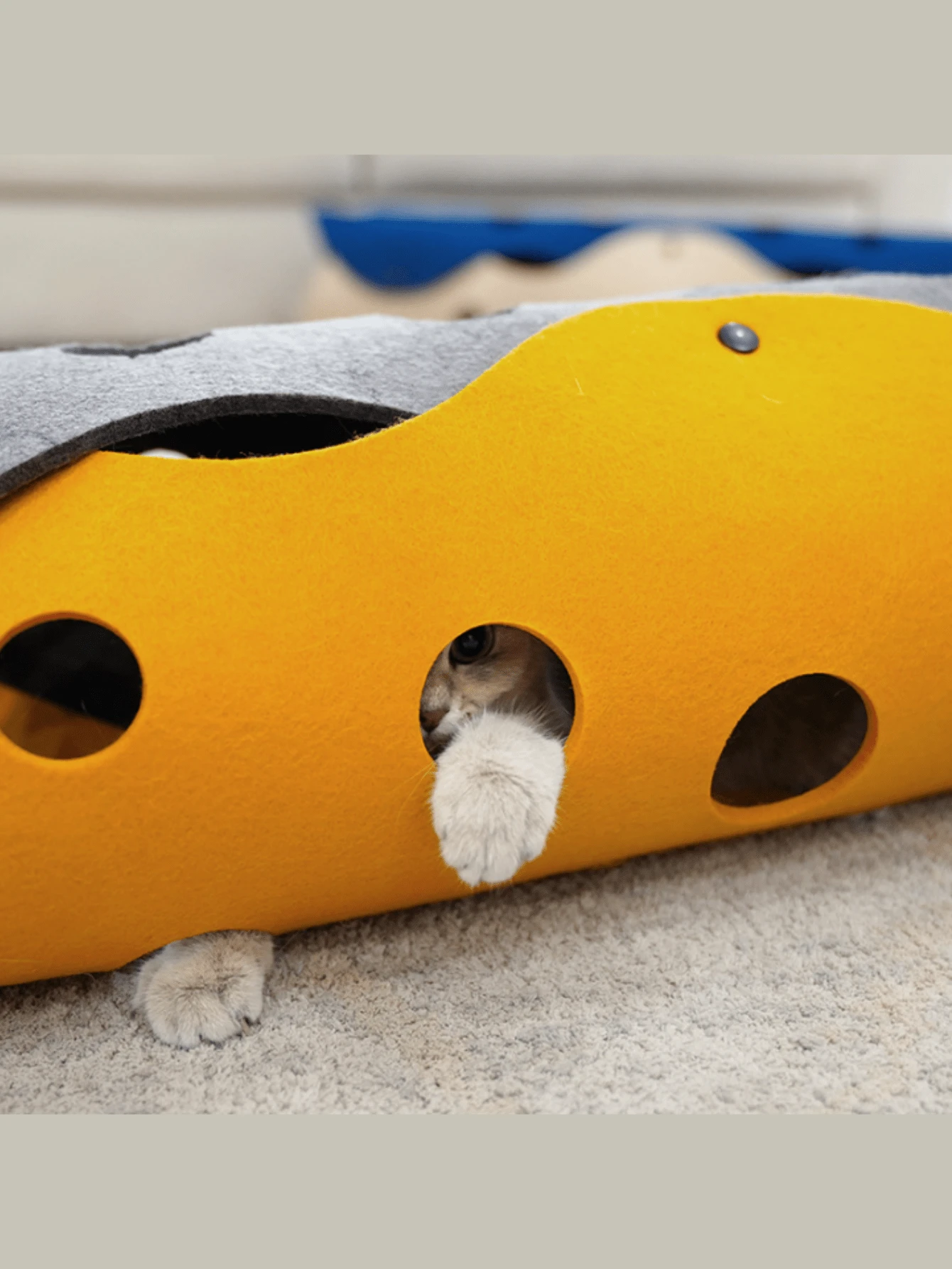 1pc Interlocking Felt Cat Tunnel Scratcher With Maze, Multi-Functional ...