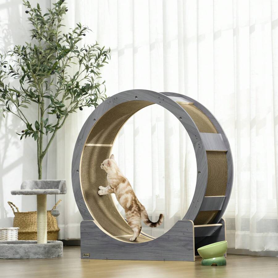 PawHut Cat Wheel For Indoor Cats, Cat Treadmill With Brake, Scratching ...