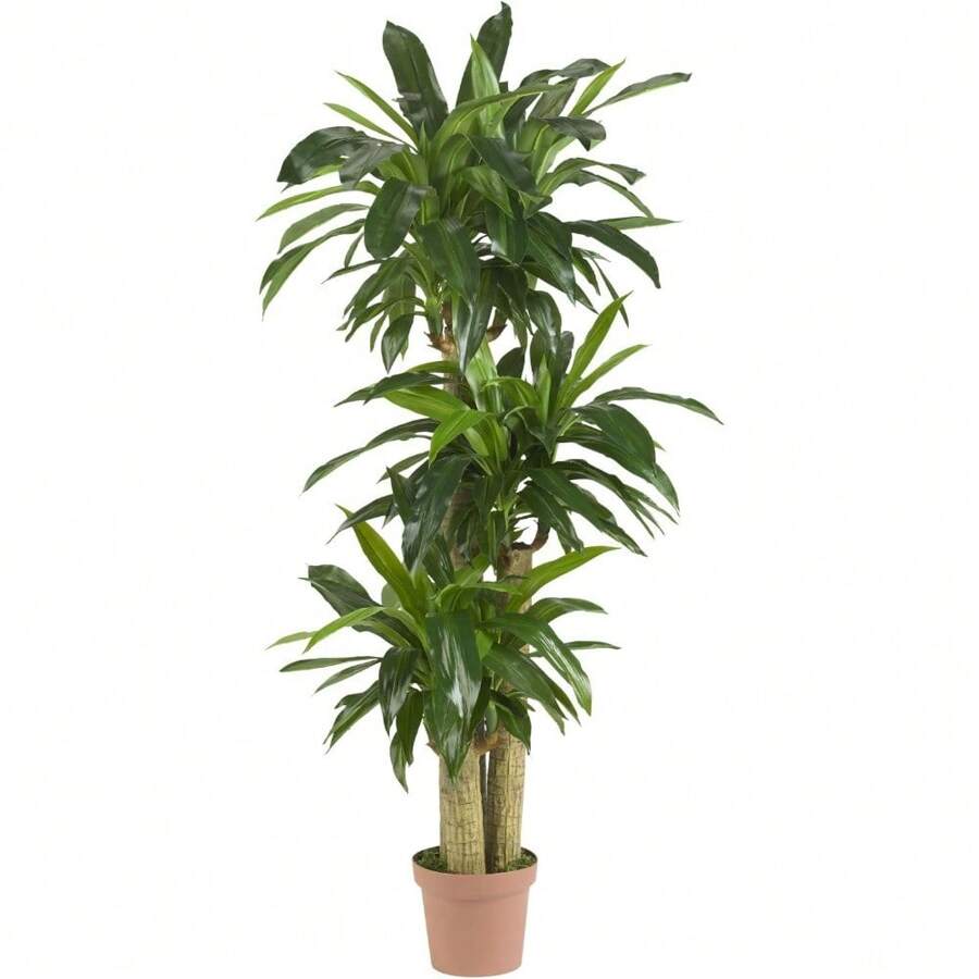 Nearly Natural 62IN Artificial Corn Stalk Dracaena Plant, Tall Fake ...