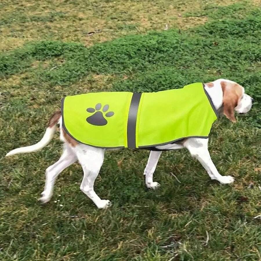 Waterproof Adjustable Dog Reflective Vest Waterproof Fluorescent High ...