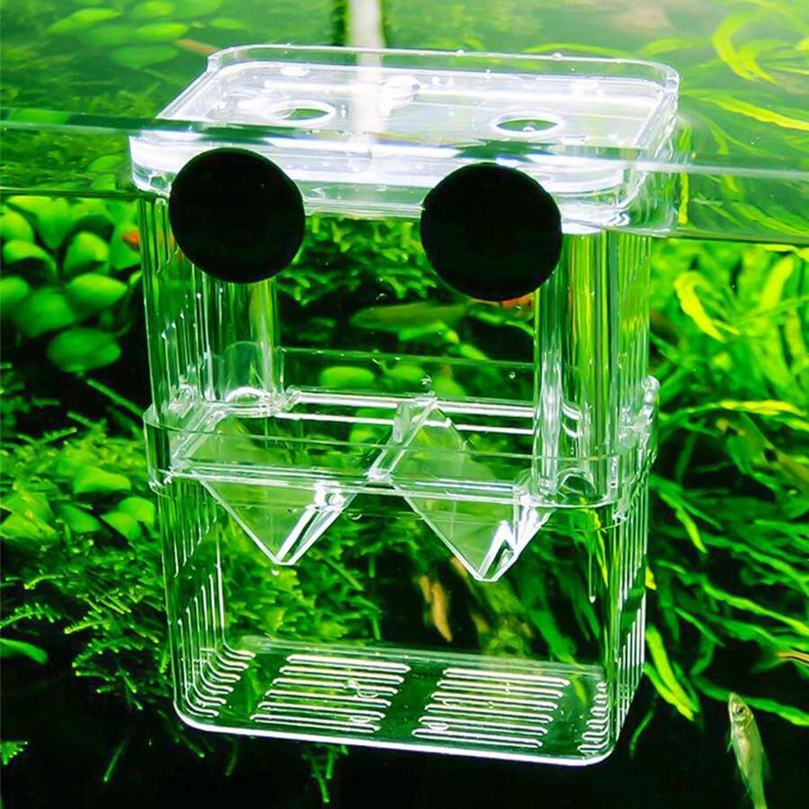 1pc Transparent Visible Large Small Aquarium Fish Breeding Box Betta ...