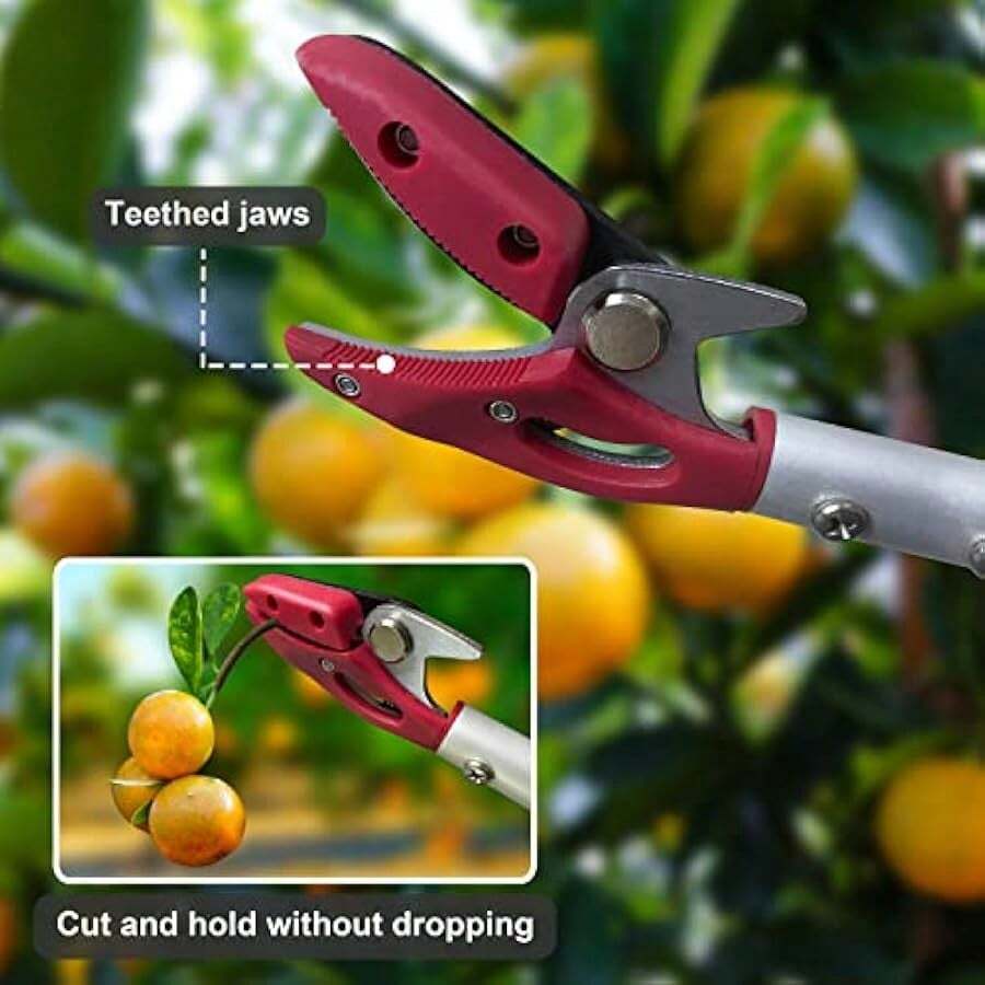 Tree Trimmer 6 Foot Pole Pruner Long Reach Pruning Shears Cut And Hold ...