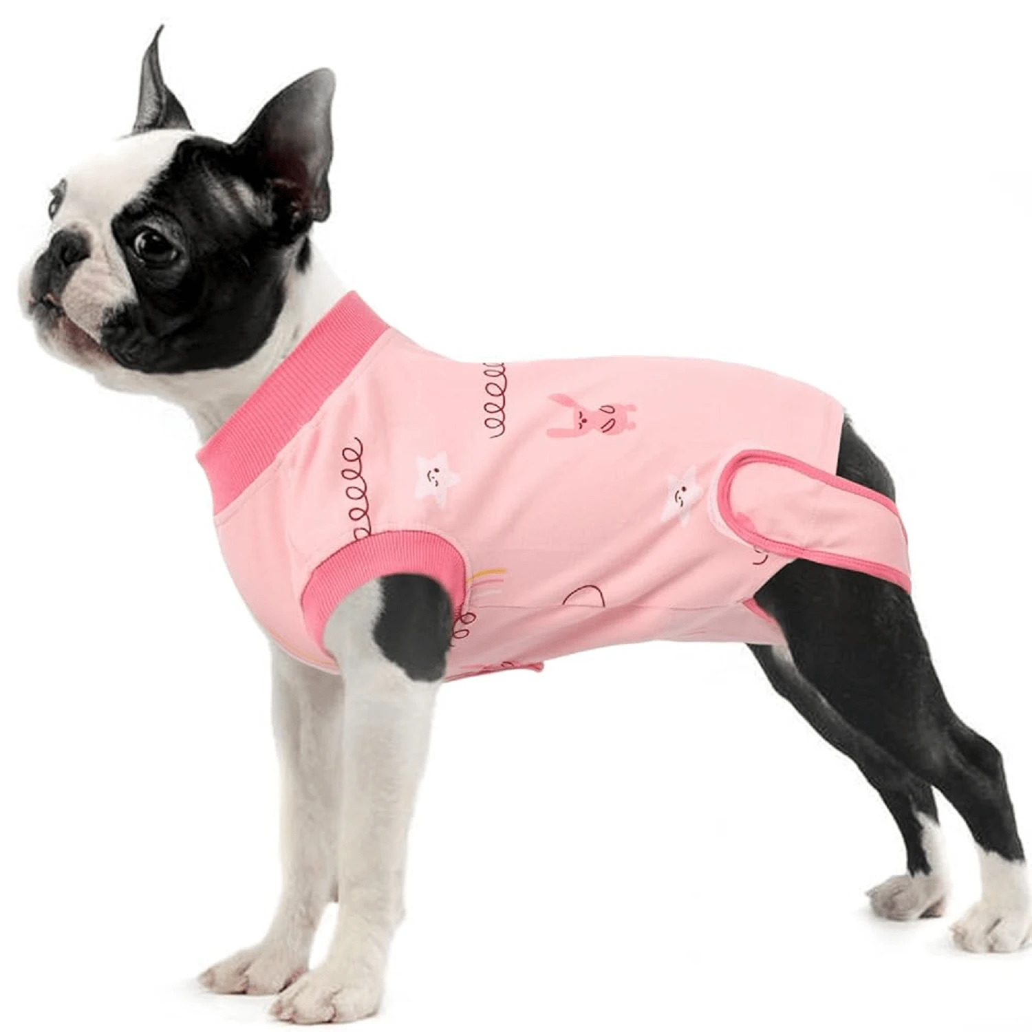 Recovery Suit For Dogs After Surgery, Soft Dog Surgery Suit For Female ...
