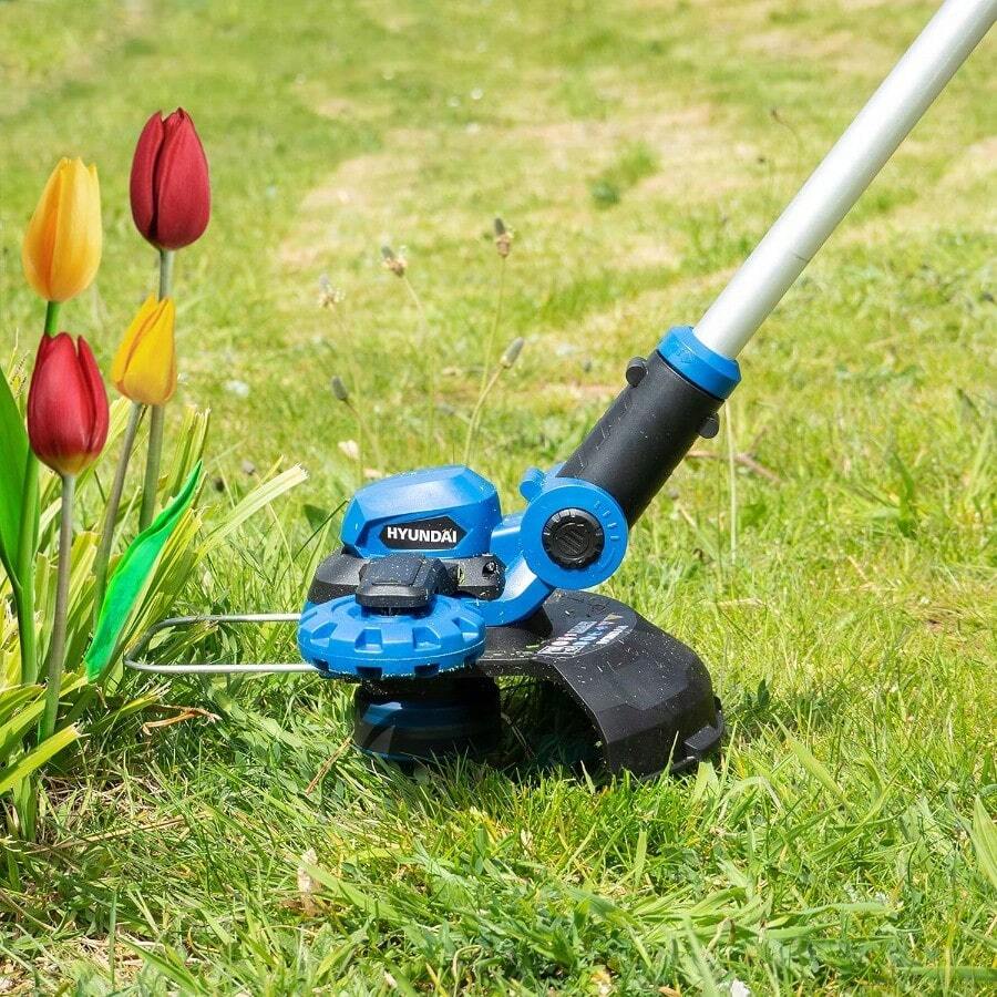 20v Li-Ion Cordless Strimmer 250mm Trimming Width 2ah Battery And ...