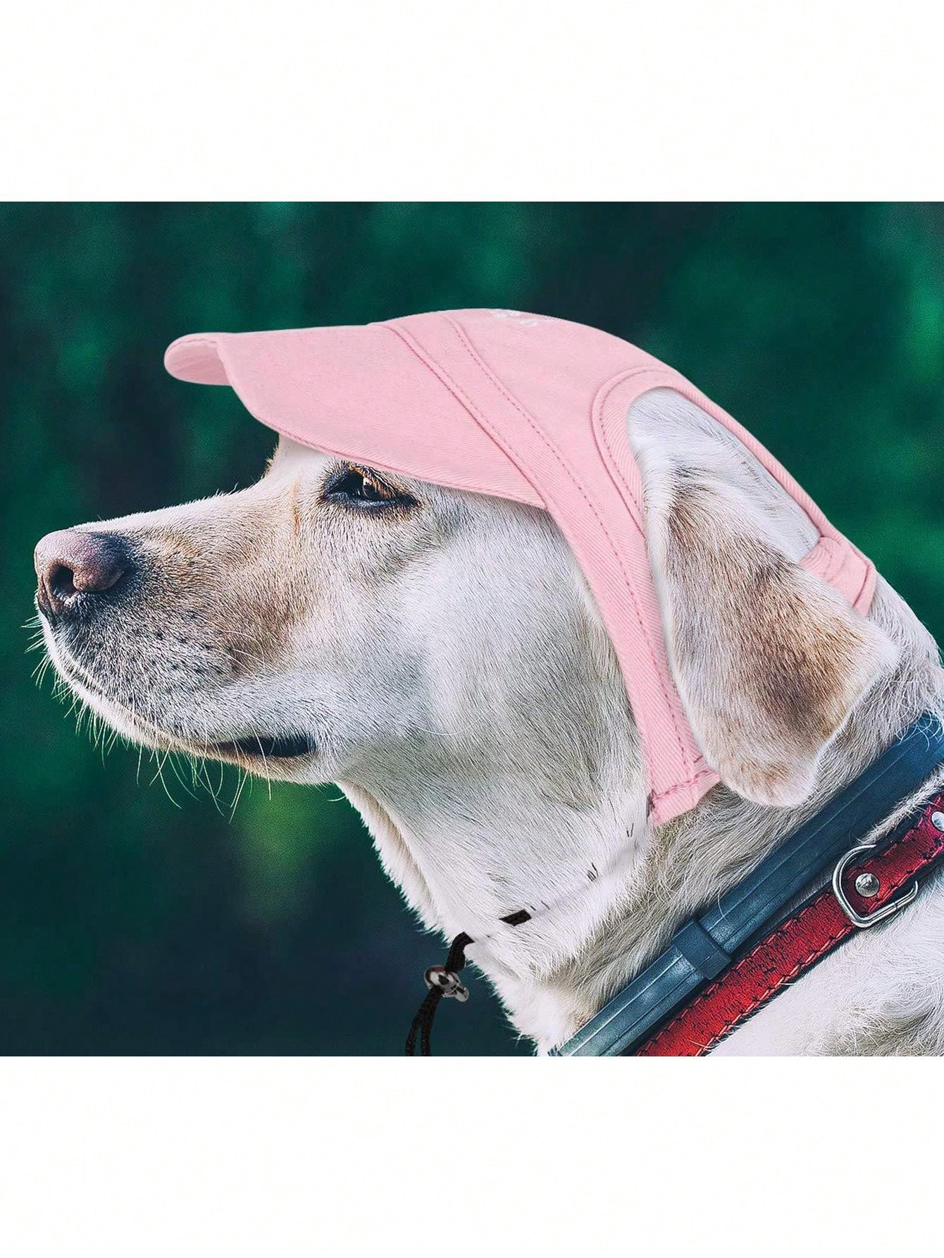 1pc Pet Outdoor Hat With Ear Holes, Cute Sunshade Hat For Dog/Cat ...