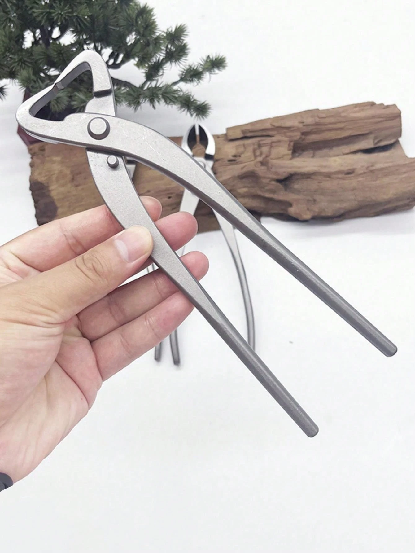 Advanced Stainless Steel Bonsai Trimming Scissors - Precise Trimming ...