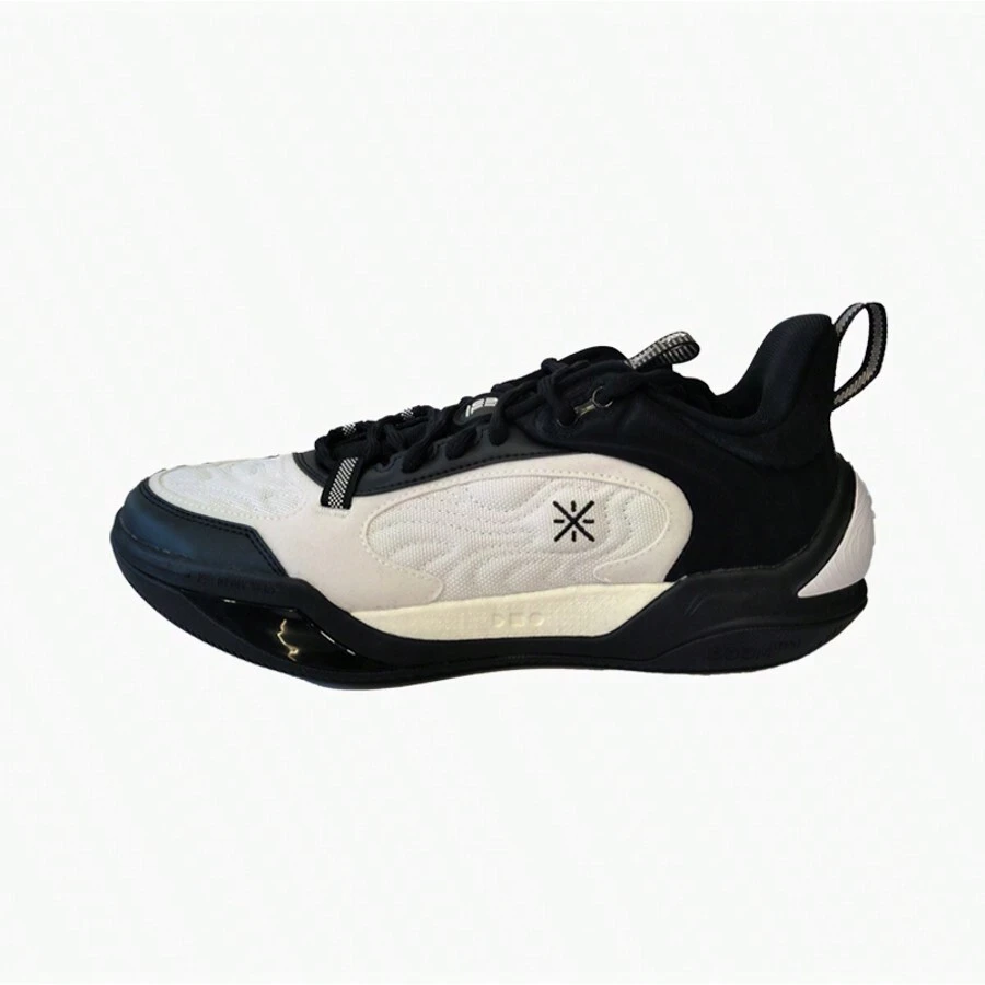 LI-NING LI-NING Wade ICE 2 V2 Men Basketball Shoes Professional Sports ...